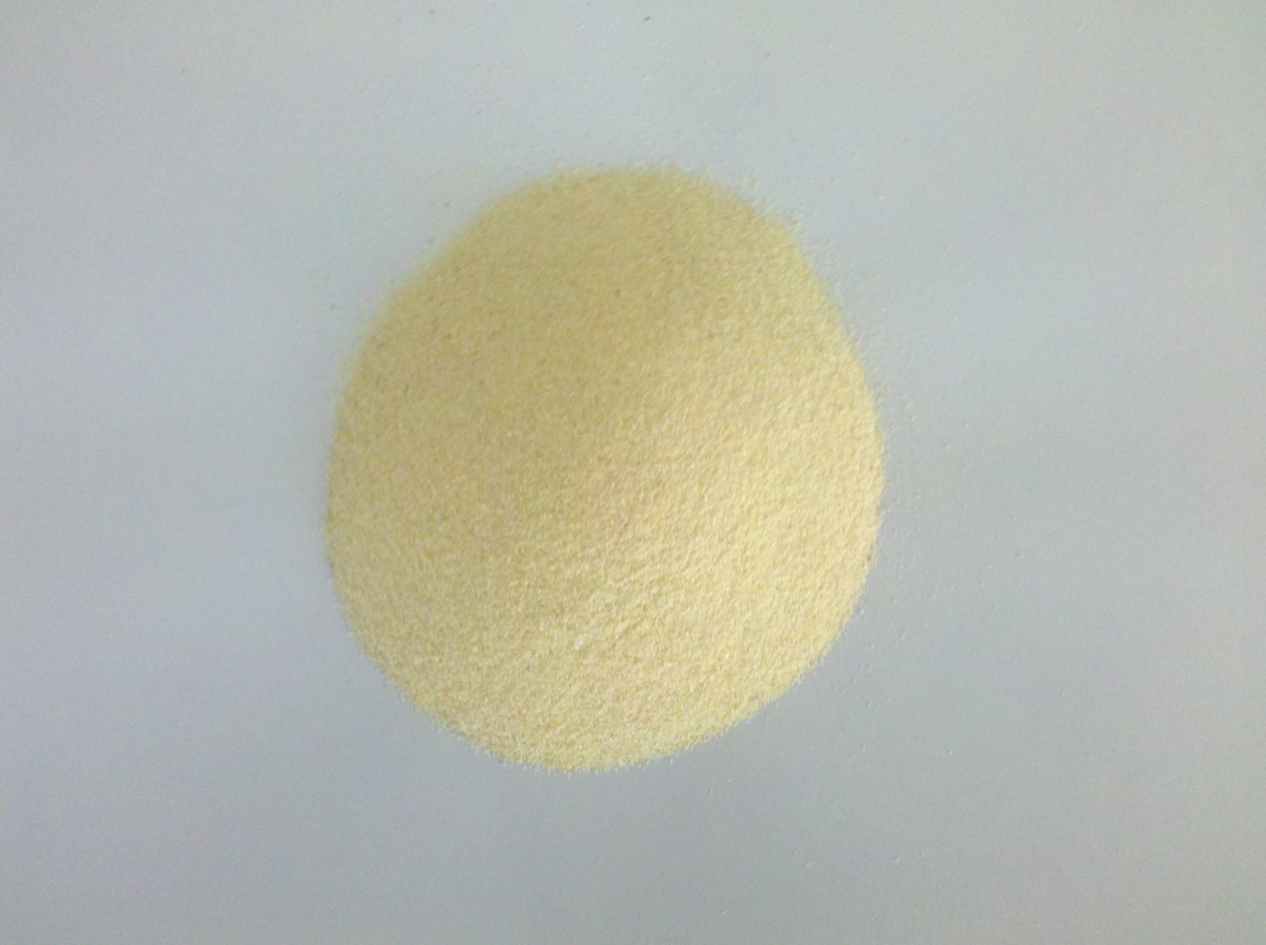 Professional Dried Garlic Pods 40-80 Mesh New Crop With HACCP FDA Standard