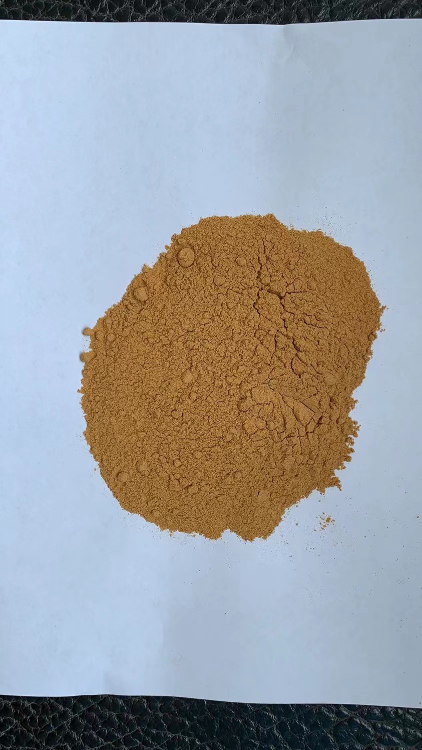 Dark Red 100 Mesh Air Dried Tomato Paste Powder 100% Pure